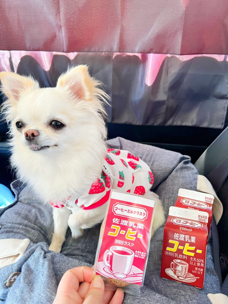 念願の佐渡旅行！(3日目) - OMOCHI Create.