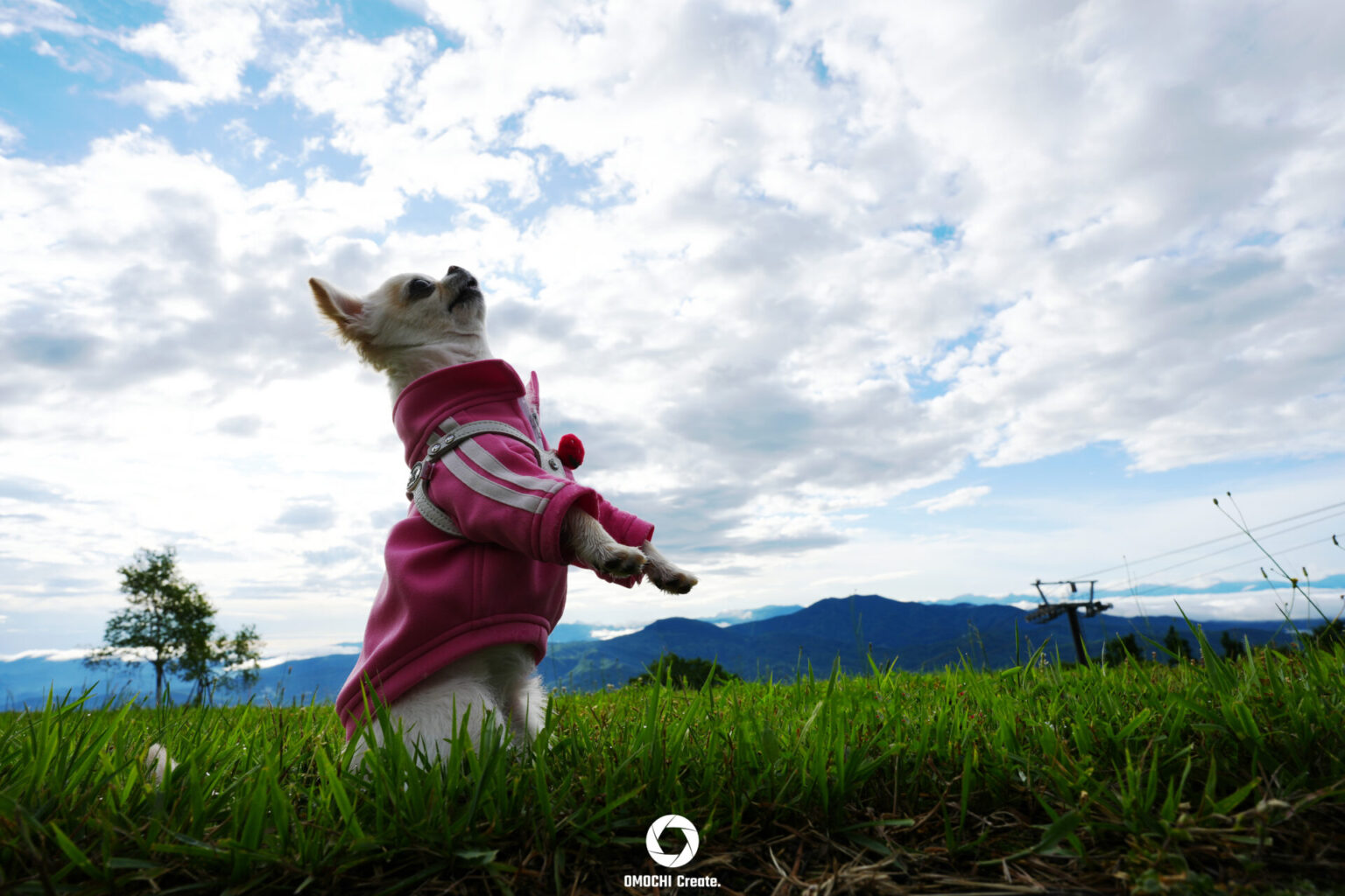 写真撮影 - OMOCHI Create.