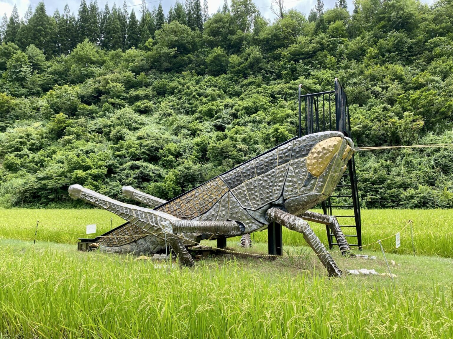 【ペットOKなお蕎麦屋さん】そば処 松苧(まつお)さんに行ってみた！ - OMOCHI Create.