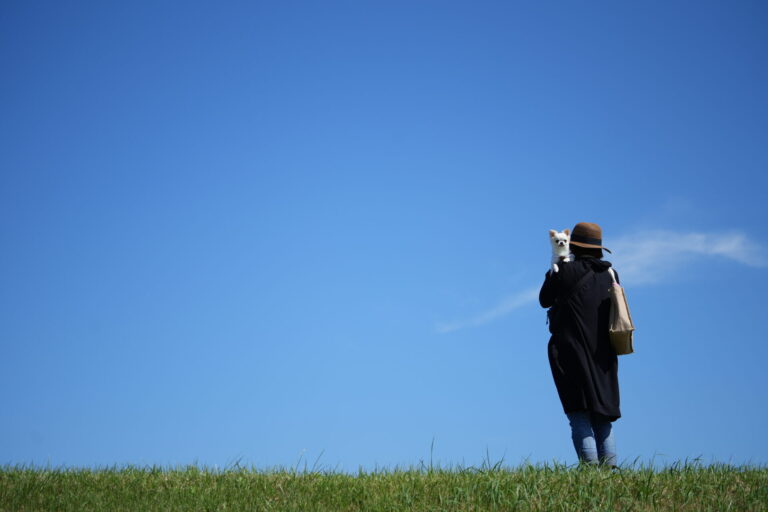 写真撮影 - OMOCHI Create.