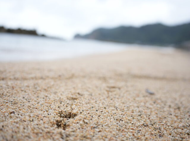 OMOCHI Create.(おもちクリエイト) ｜動画制作・写真撮影・日常ブログ