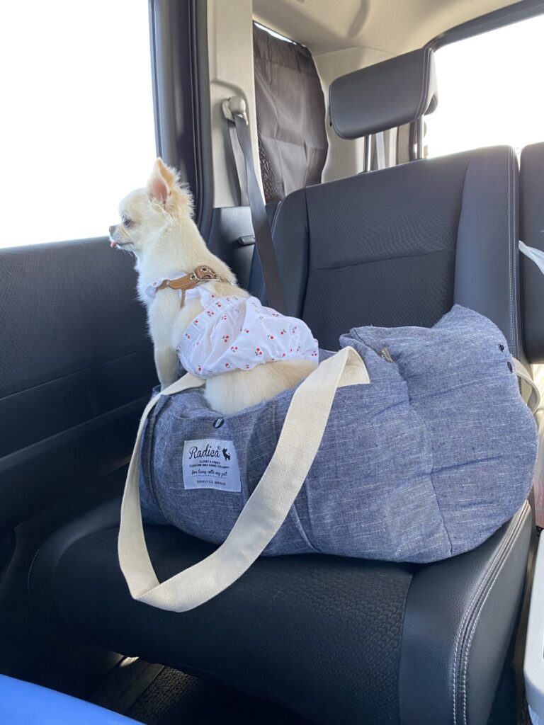 写真撮影からの「新潟ふるさと村」でちょっぴり観光気分？ - OMOCHI Create.