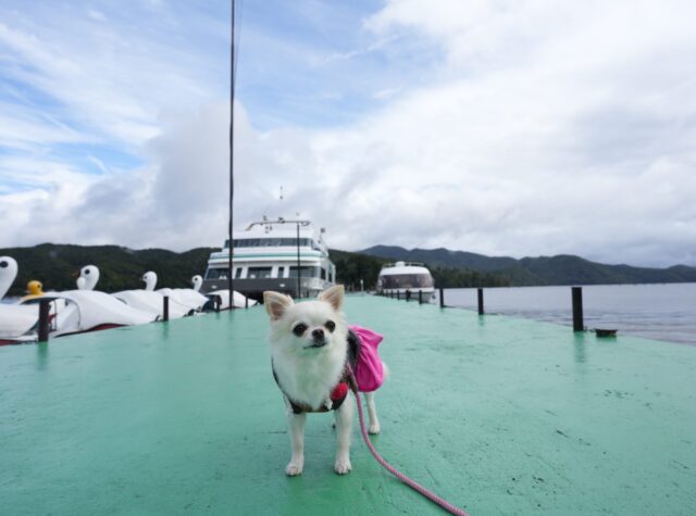 OMOCHI Create.(おもちクリエイト) ｜動画制作・写真撮影・日常ブログ