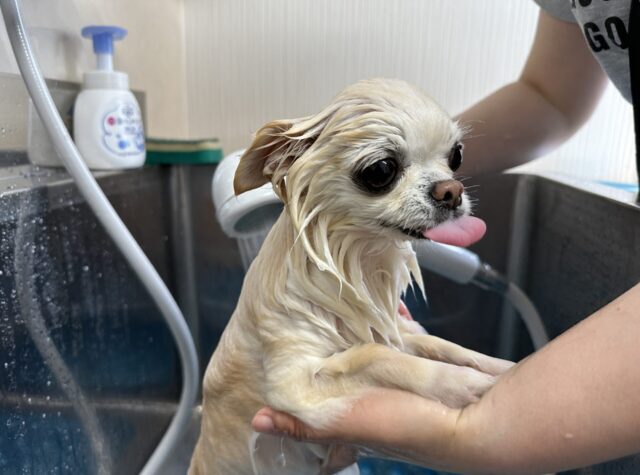 OMOCHI Create.(おもちクリエイト) ｜動画制作・写真撮影・日常ブログ