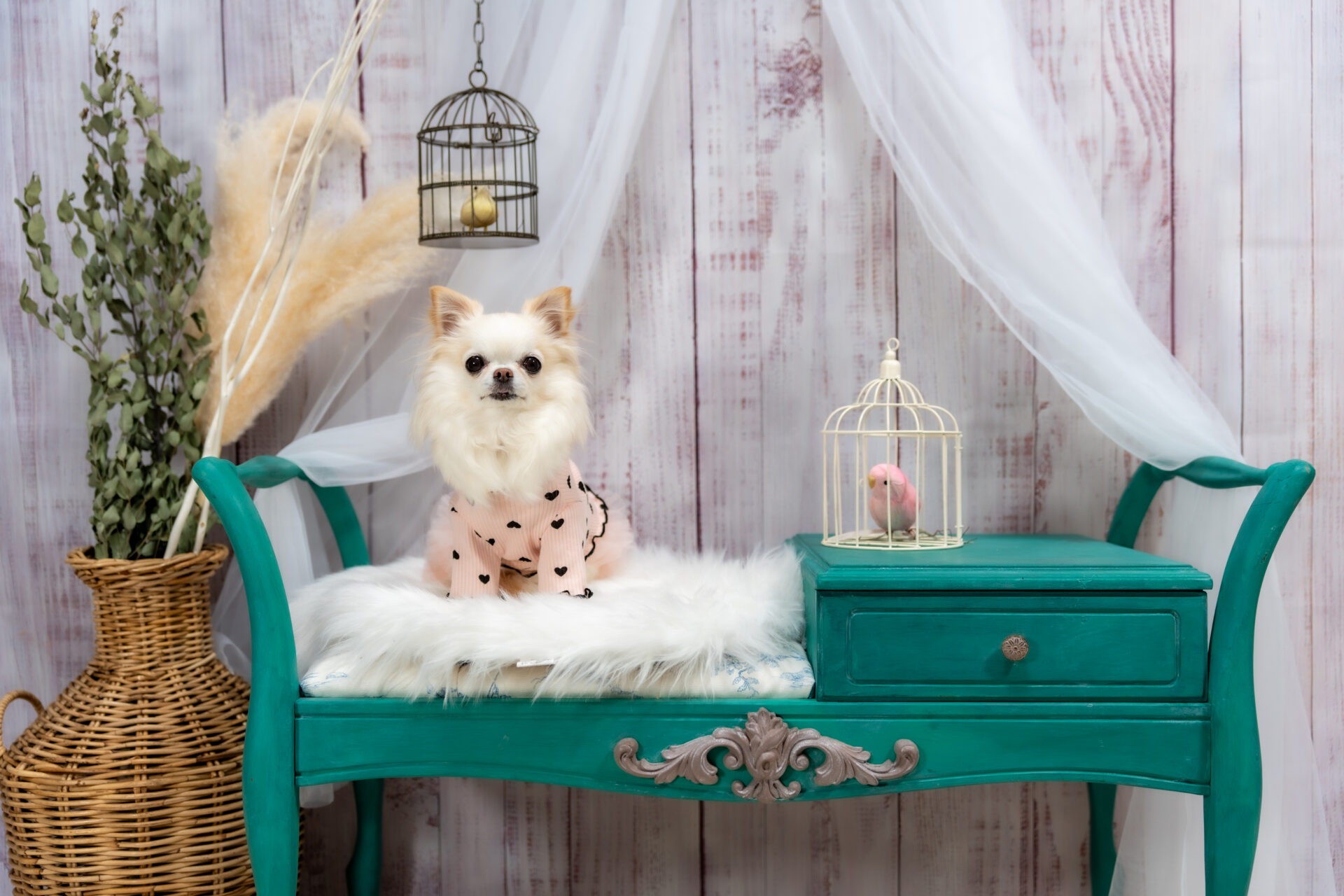 OMOCHI Create. フォトブース撮影ご予約ページ - OMOCHI Create.